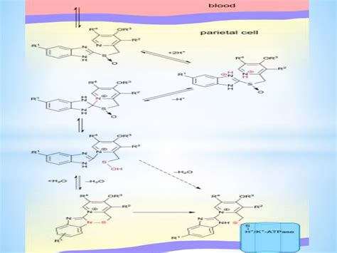Proton Pump Inhibitors Discovery And Development Pptx
