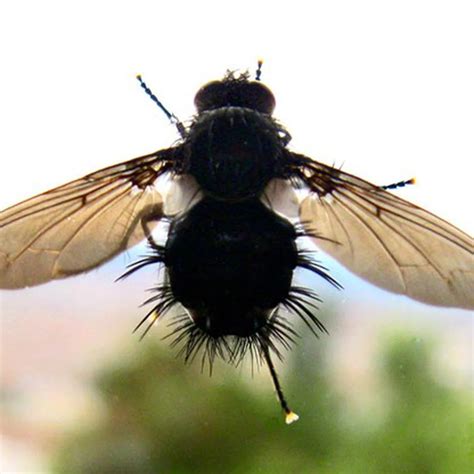 Continúan Fuertes Lluvias E Inundaciones En Filipinas Que Dejan Ya 17