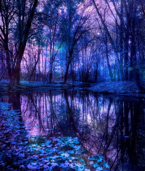 Blue Forest Art Print By Bekim M Artofit