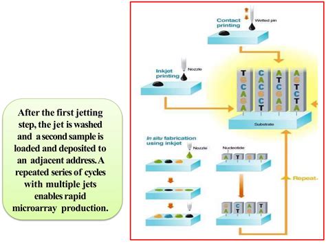 Microarray Technique Pptx