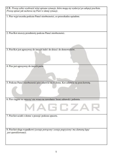 Procedury Adopcyjne Zwierząt Domowych Magczar