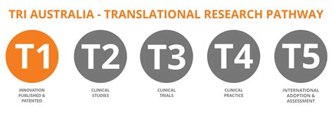 Our Work Translational Research Institute