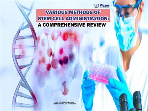 Various Methods Of Stem Cell Administration Comprehensive Guide