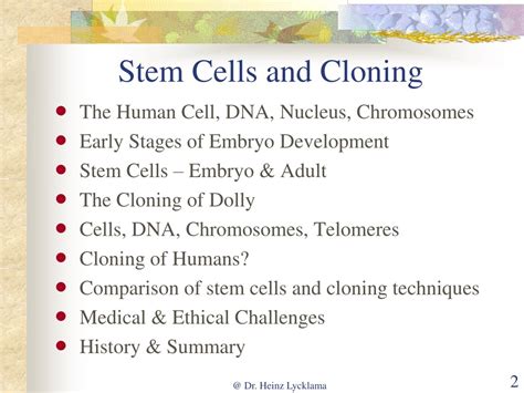 Ppt Stem Cells And Cloning A Comprehensive Overview Powerpoint