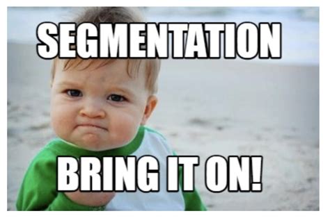 The Top 6 Instance Segmentation Models That You Need To Know DEV Community