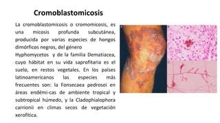 Hongos Y Micosis Pptx