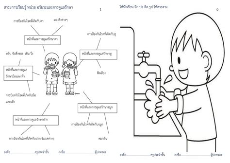ใบงาน หน่วย สื่อปฐมวัย มีเดีย ใบงาน แจกฟรี By ครูบี Facebook