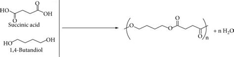 Polybutylene Succinate Synthesis Reaction Download Scientific Diagram