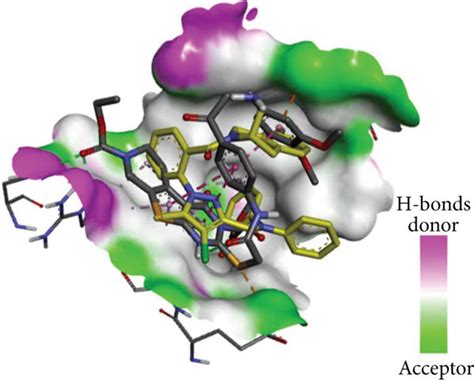 Binding Mode Interactions Of 3b Shown As Sticks Colored By Element In