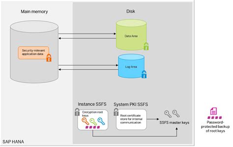 Explore The Difference Between SAP HANA And SAP HANA SAP HANA Online Tutorials