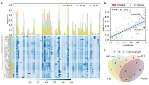 Selection Of The Important Positions A A Stack Plot Of The Position Download Scientific