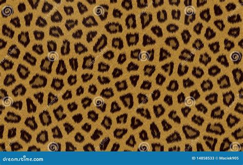 Seamless Leopard Skin Pattern Stock Image 14858533