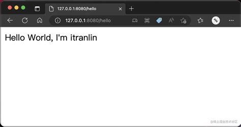s001 使用intellij idea开始一个springboot3的项目最近几天在做2022的总结，发现2022好像 掘金