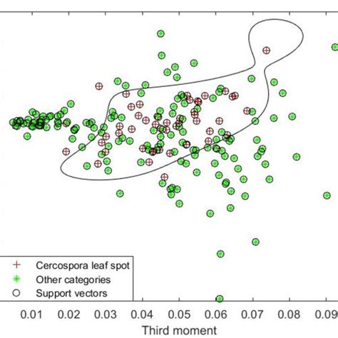 Visualization Of Classification Using Support Vector Machine Iv