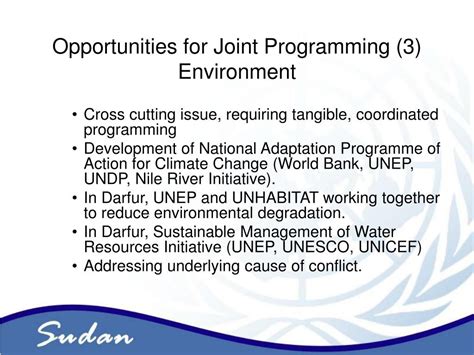 Ppt Strategic Frameworks For Joint Programming In Sudan Powerpoint