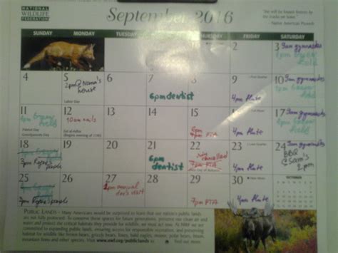 user interface and interaction design an iterative process a series of tests and improvements