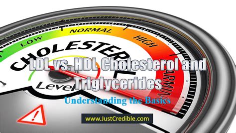 Ldl Vs Hdl Cholesterol And Triglycerides Understanding The Basics