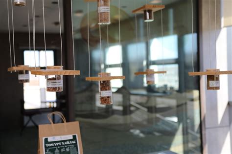 Орхон аймаг хүнс хөдөө аж ахуйн салбараа эрчимжүүлнэ