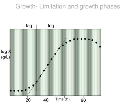 Ppt Microbial Growth Overview Of Terms Exponential Growth U Td Productivity Powerpoint