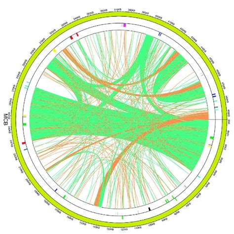 Ssr And Repeat Analysis In Mcb Mitogenome A Ssr Number Statistics Download Scientific