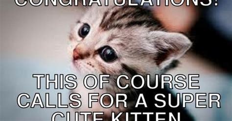 Congrats Kitty