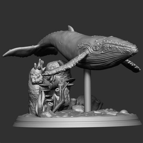 Stl File Whale・3d Printer Design To Download・cults
