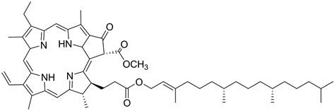 Pheophytin B Structure