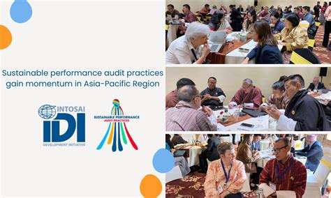 Sustainable Performance Audit Practices