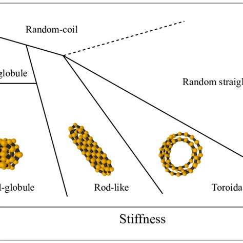 Color Online Schematic Diagram Of Conformational Behavior As It Is Download Scientific