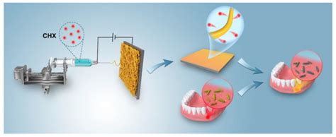 Polycaprolactone Electrospun Nanofiber Membrane With Sustained Chlorohexidine Release Capability