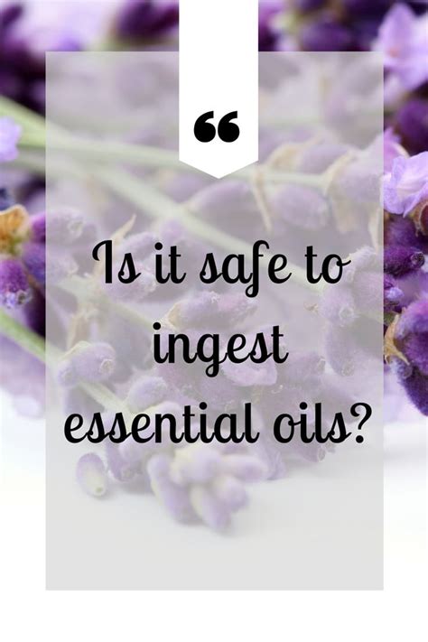 DIY Tree Branch Art Piece Creative Home Decor DIY Tree Branch Art Piece Creative Home Decor