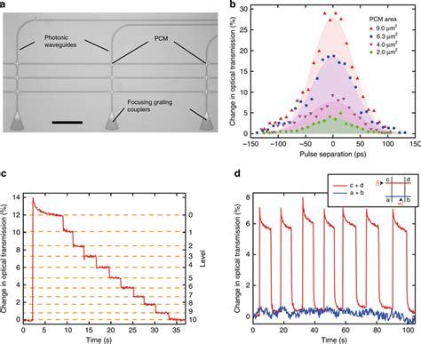 Two Pulse Switching Of Waveguide Crossings A Optical Micrograph Of A Download Scientific