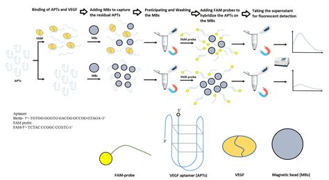 One Single Tube Reaction Of Aptasensor Based Magnetic Sensing System For Selective Fluorescent