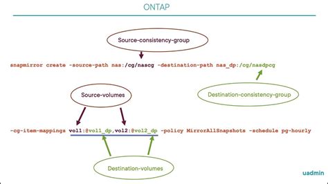 Netapp Ontap Consistency Groups And Asynchronous Snapmirror Youtube