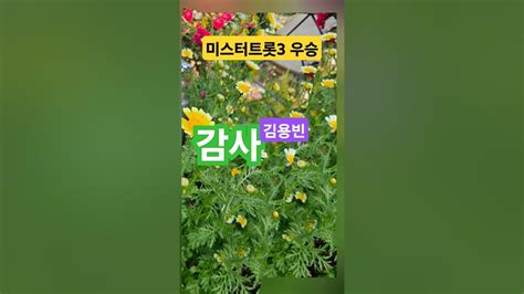 김용빈 감사미스터트롯3 우승 Youtube