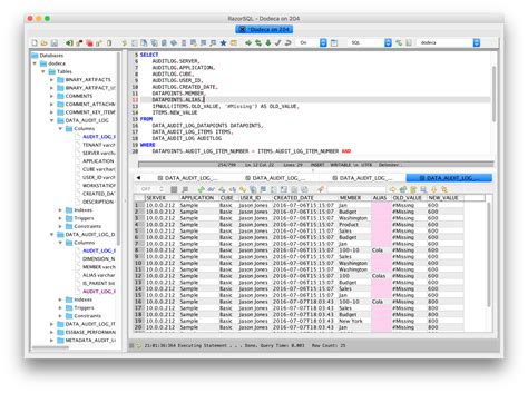 Data Input With Dodeca Part 3 Data Audit Log Jasons Hyperion Blog