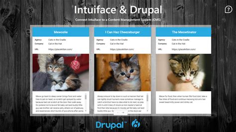 Drupal 8 Cms And Intuiface Tutorial Best Practices Tips And Tricks
