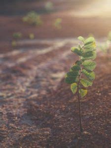 How To Soften Hard Soil Methods To Soften Soil