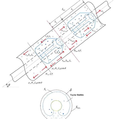 Schematic Diagram Of Slug Flow Velocity And Force Analysis In The