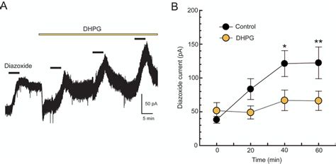 Phosphoinositol Metabolism Affects Amp Kinase Dependent K Atp Currents In Rat Substantia Nigra