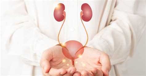 Urodynamic Testing What It Is And Why It Matters Atlantic Urology