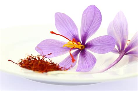 Premium Photo Close Up Of Saffron Flower And Dried Saffron Spice