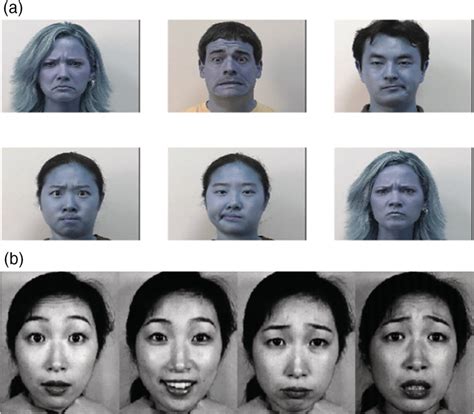 A Sample Input Image Of Dataset Ck B Sample Input Image Of