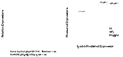 Codon Optimization ATUM