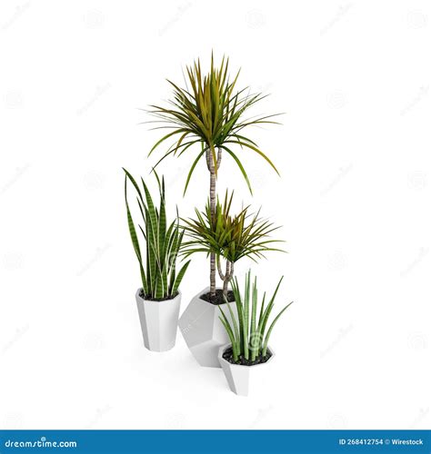 Diferentes Tipos De Plantas Verdes Em Bolbos De Flores Em Fundo Branco