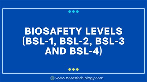 Biosafety Levels Bsl 1 Bsl 2 Bsl 3 And Bsl 4