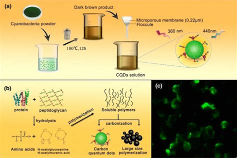 Graphene Quantum Dots At ₹ 200ml Semiconductor Nanocrystals In
