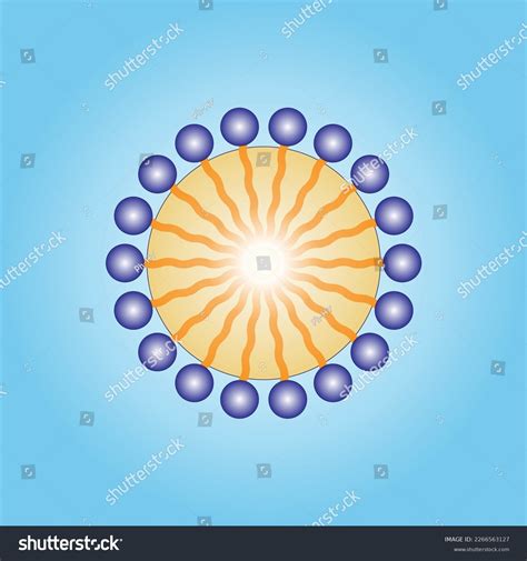 Emulsifier Structure Emulsion Types Mixture Two Stock Vector Royalty