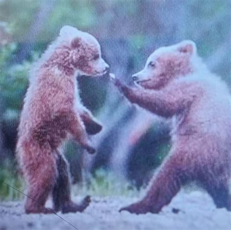 Newspress Mn Ж Галбадрах Багшийн цалинг хэрхэн нэмэх вэ Өнөөдөр сургууль цэцэрлэгийн