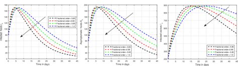 graphical view analysis of the dynamical behaviour of the infected
